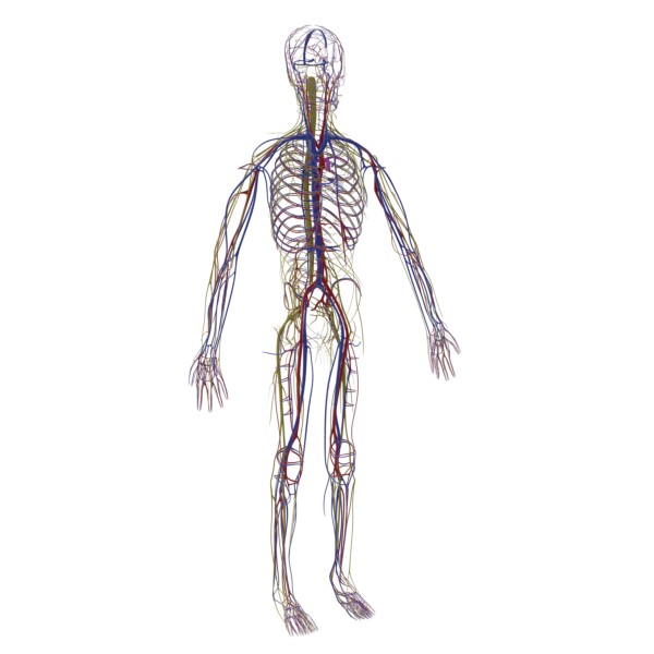 Bluebeaker - Create Your Own 3D Science Figures